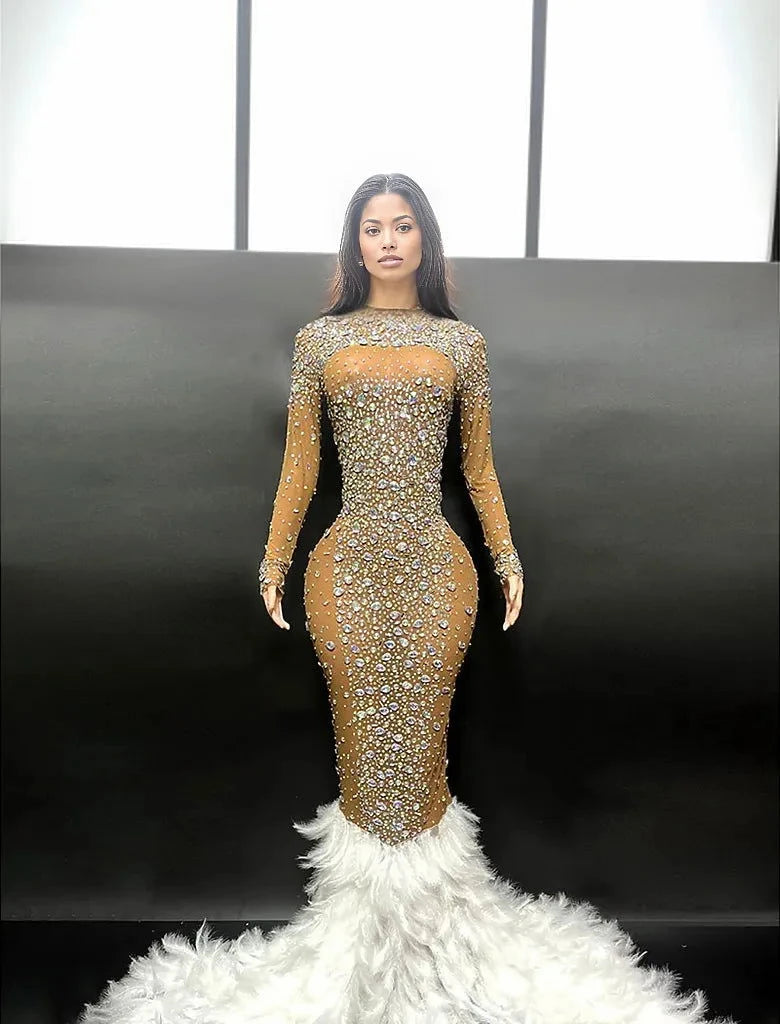 Sparkling Me Transparent Feather Long Dress